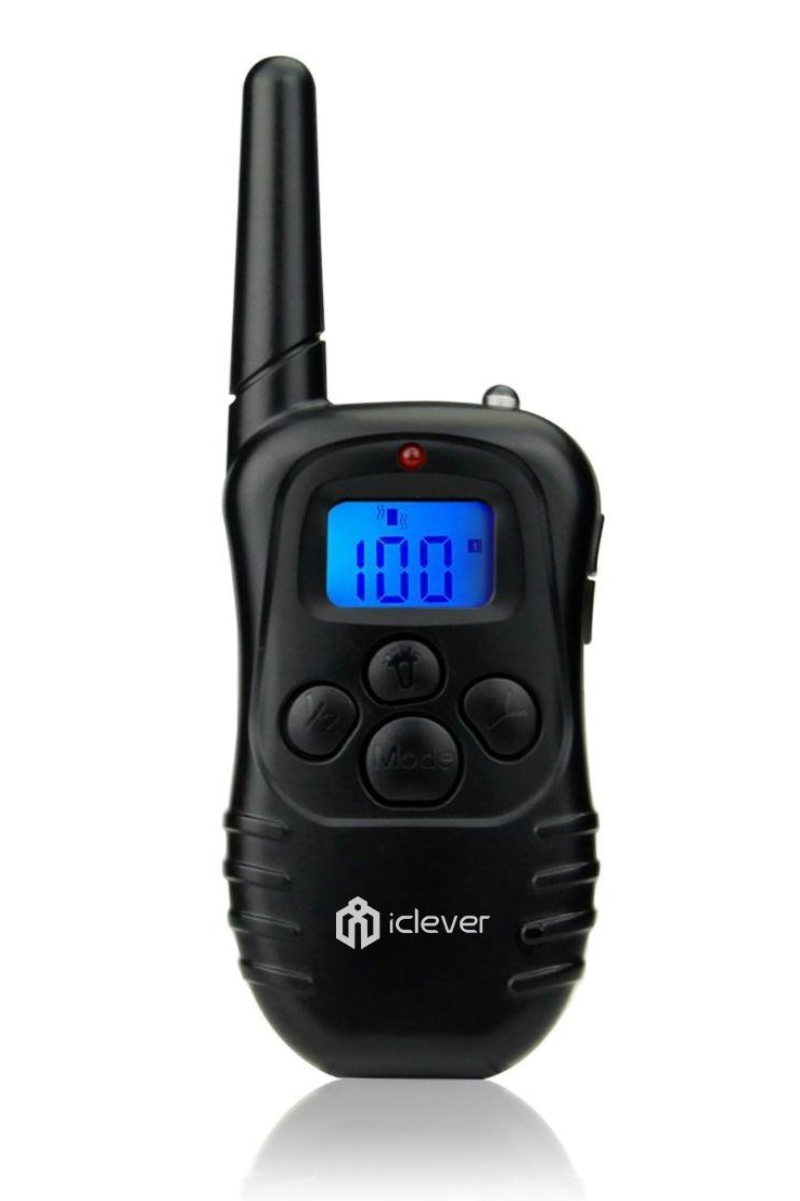 Test collier de dressage Gleading - Eductonchien.net